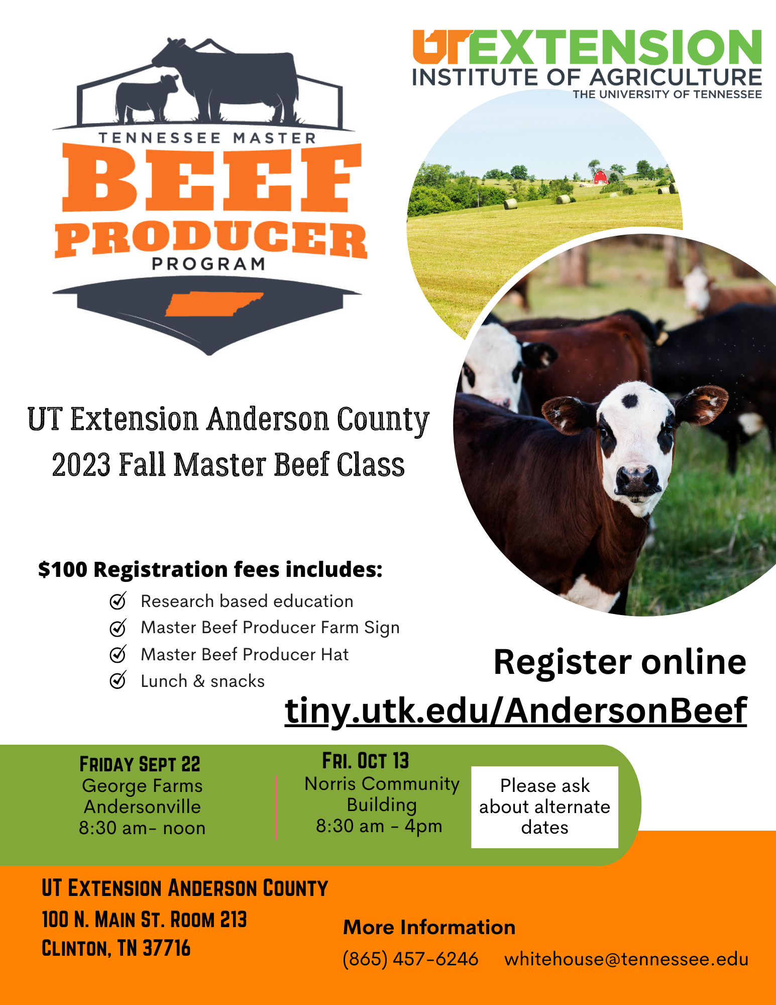 Beef Programs | Anderson County