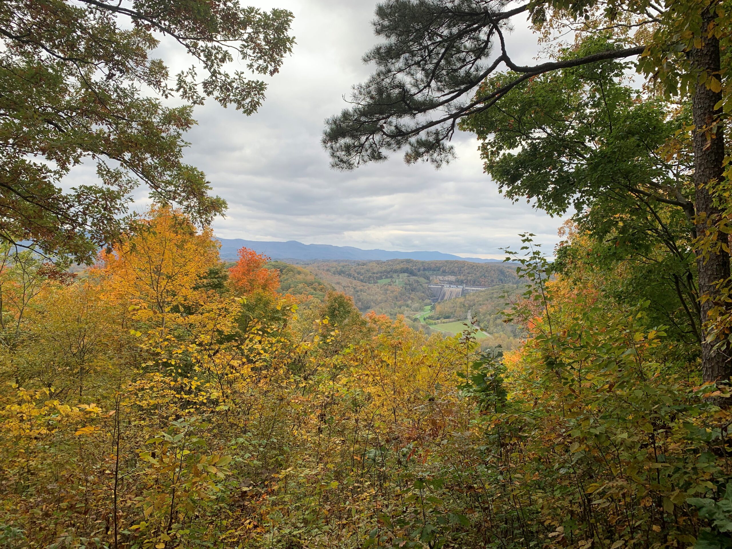 Anderson County | Anderson County