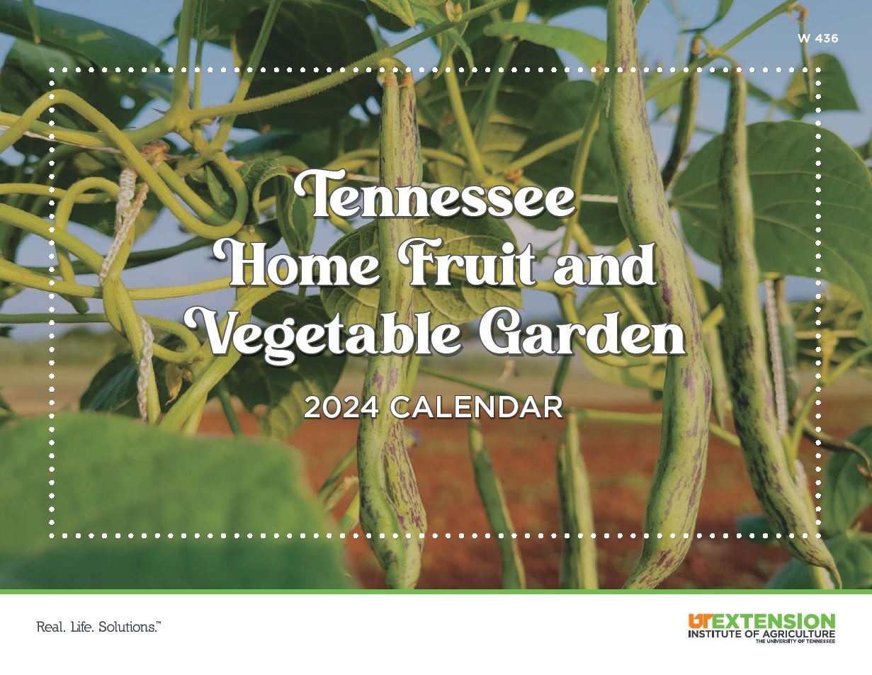 Lawn, Garden & Landscapes | Anderson County