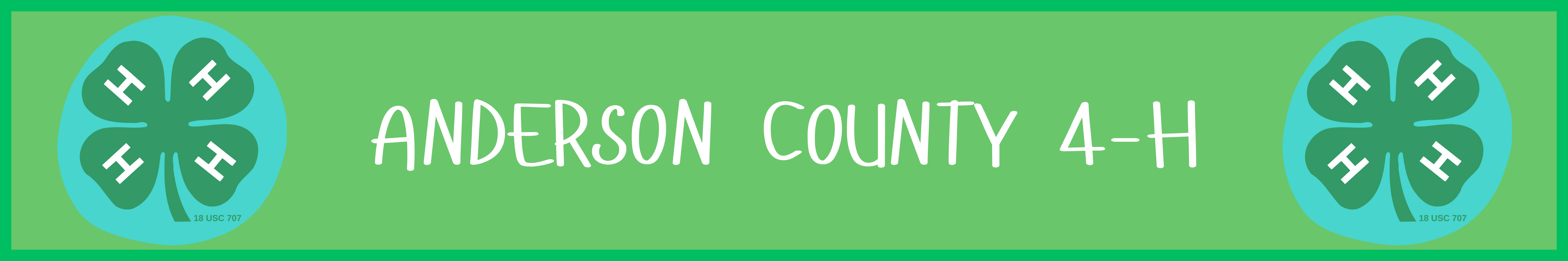4-H Youth Development | Anderson County